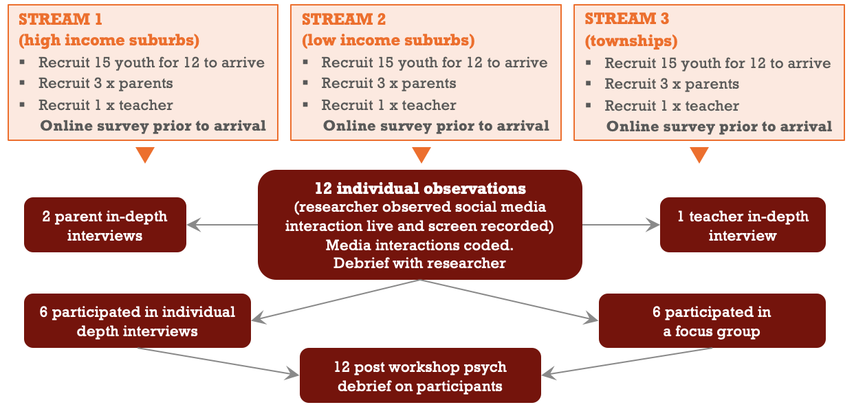 Digital media literacy case study